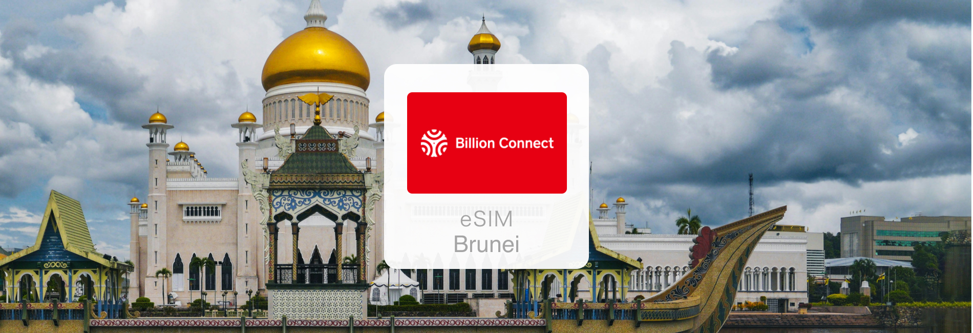 Brunei 500MB/1GB High-Speed 4G Network Per Day eSIM (Unlimited Data ...