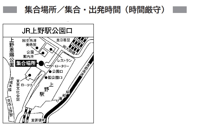 [Tokyo] [Limited Time Offer] Niigata | "Katakai Festival" Large ...
