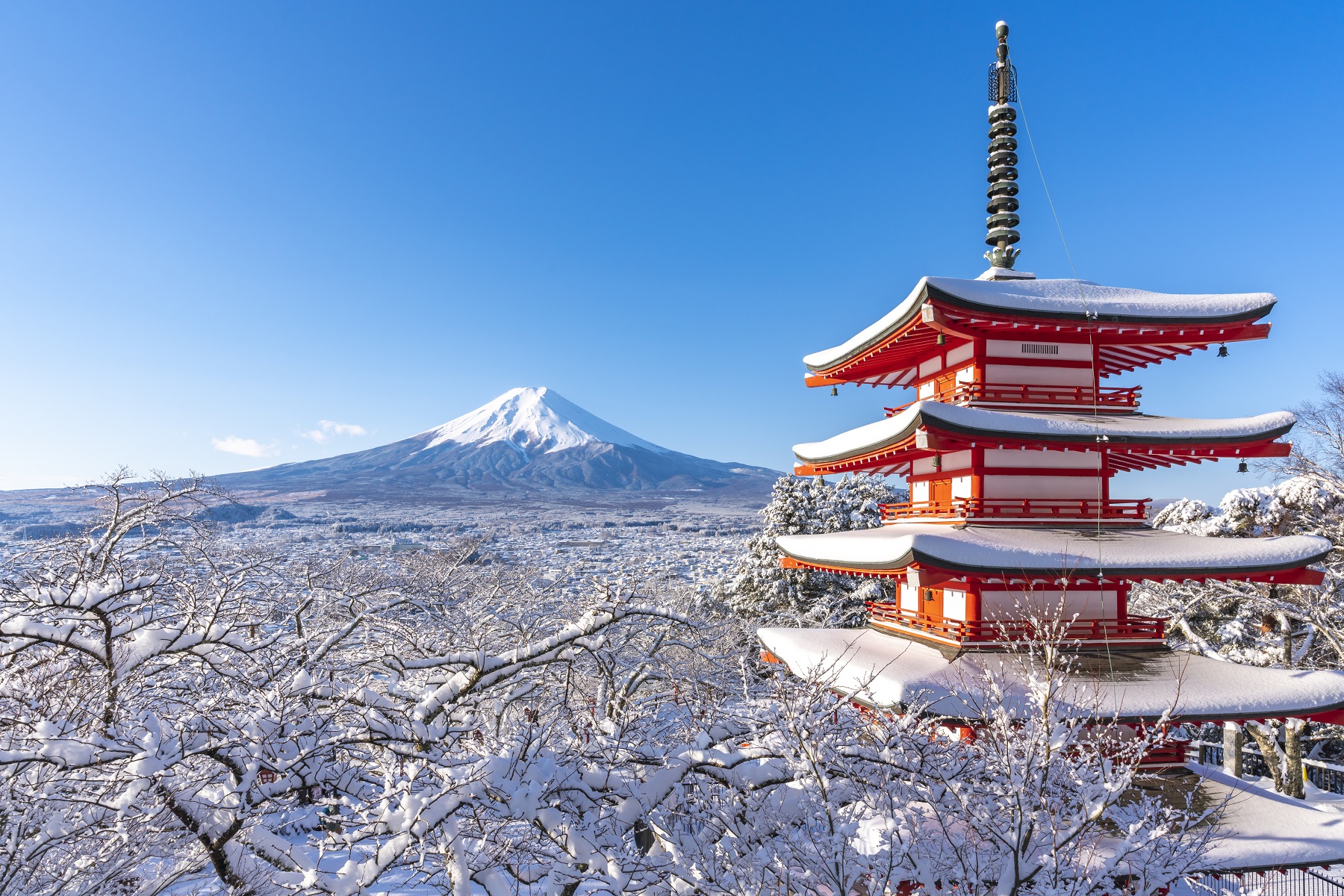 富士山 一日遊 - LIVE JAPAN (日本旅遊 ‧文化體驗導覽)