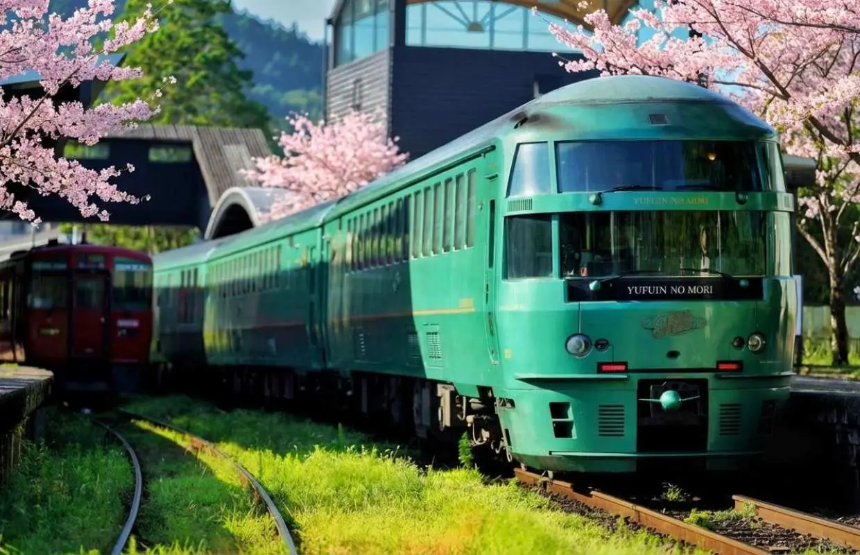 Yufuin no Mori Train Experience Day Trip in Kyushu, Beppu Sea Hell ...