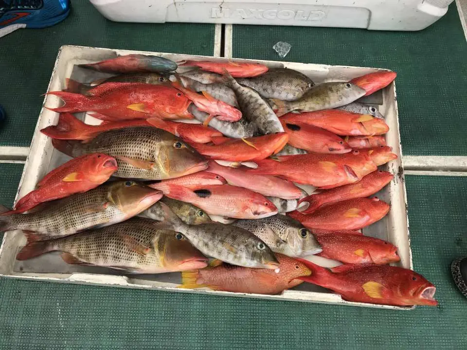 Boat Fishing Course | Okinawa - KKday