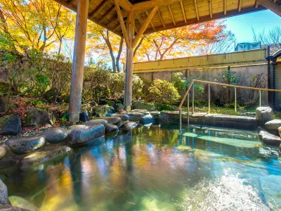 Forest Resort Conifer Iwabitsu - KKday