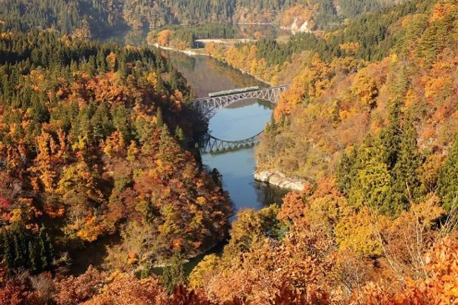 [Tour confirmed] Tohoku 2-day tour | Spectacular autumn foliage in ...
