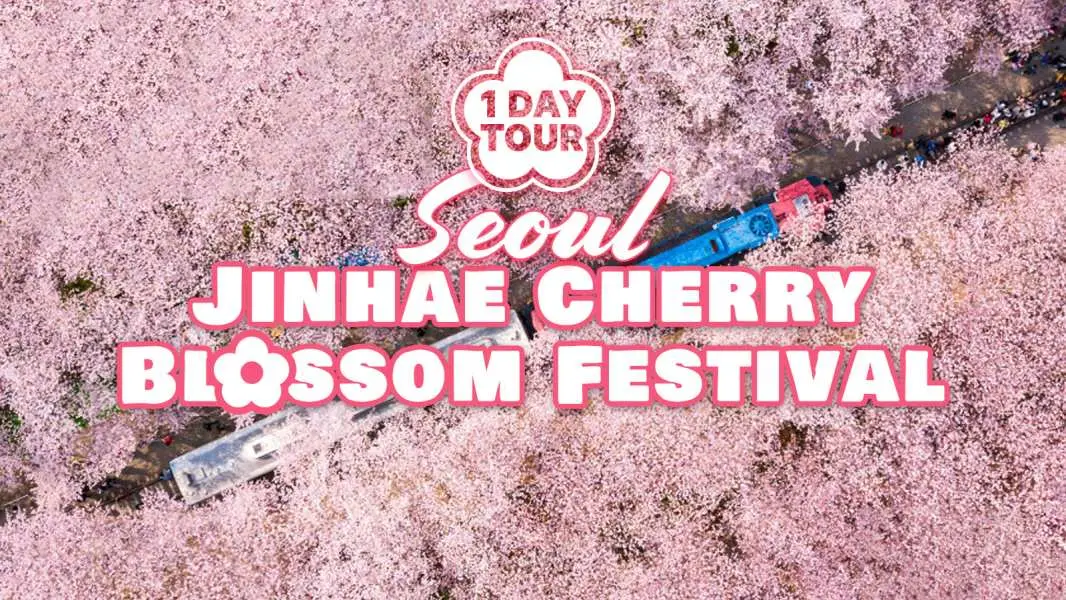 [Early Bird Sale] 2025 Jinhae Cherry Blossom Festival Tour | Depart ...