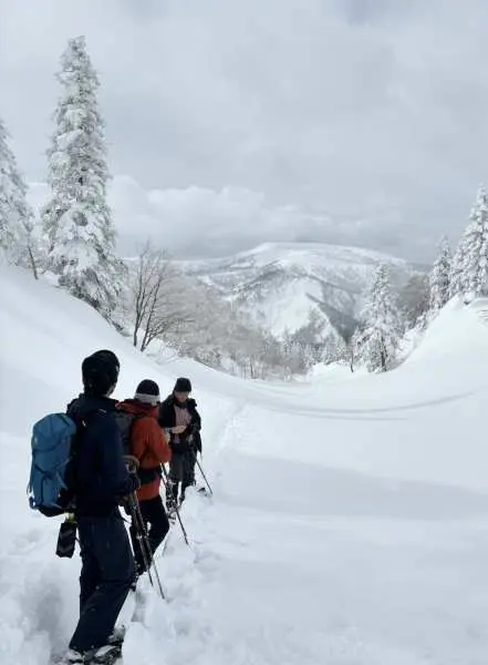 Climb on your own two feet! A snowshoe tour to fully enjoy the great ...