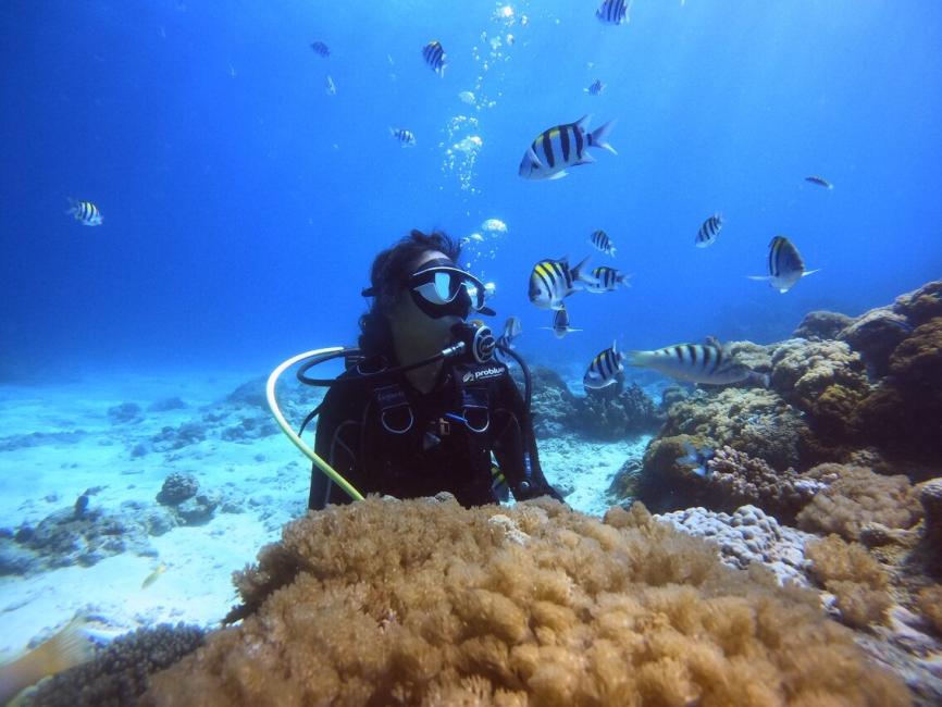 Taiwan Green Island Bay Dive Center｜4 days and 3 nights PADI Beginner ...