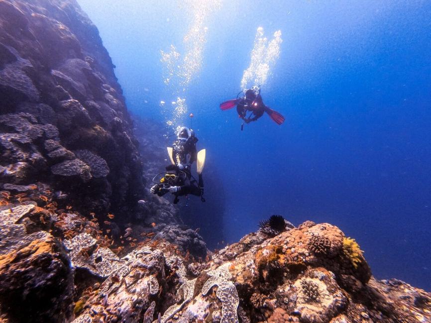 Taiwan Green Island Bay Dive Center｜4 days and 3 nights PADI Beginner ...