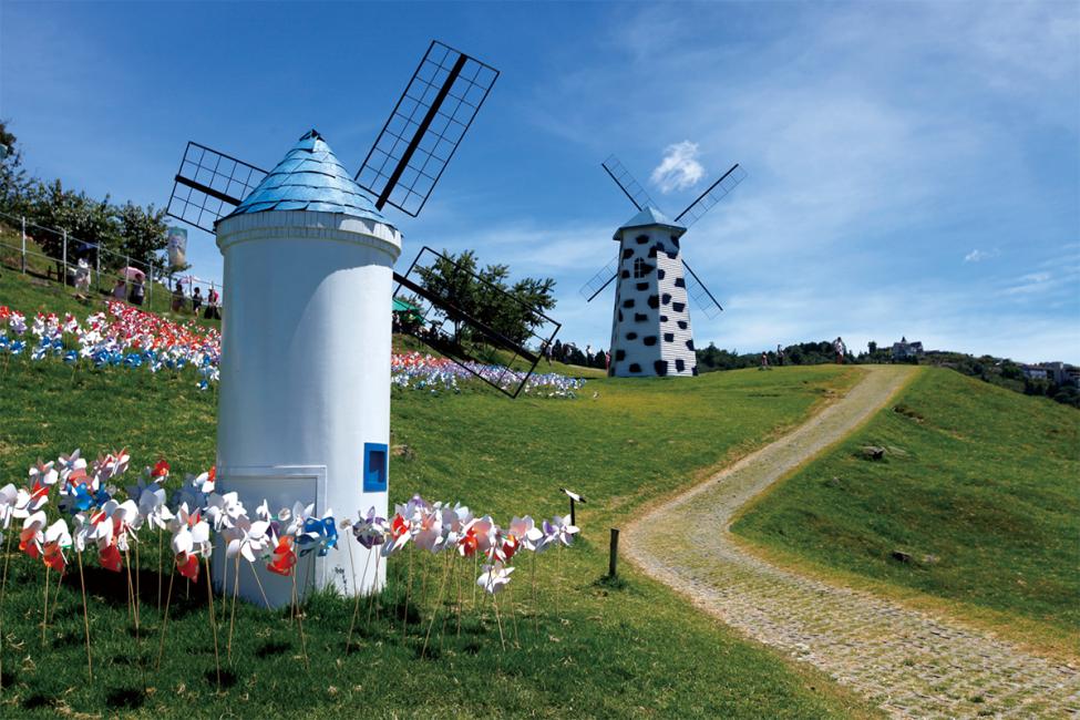 Reasons Why Qingjing Farm Should Be On Your Taiwan Itinerary - KKday Blog