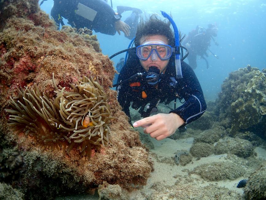 Daily diving in Penghu｜Dive experience + postcards sent to the undersea ...