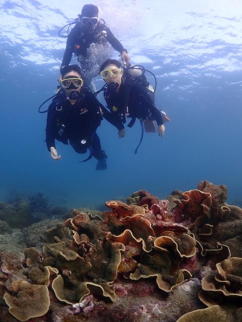 Daily diving in Penghu｜Dive experience + postcards sent to the undersea ...