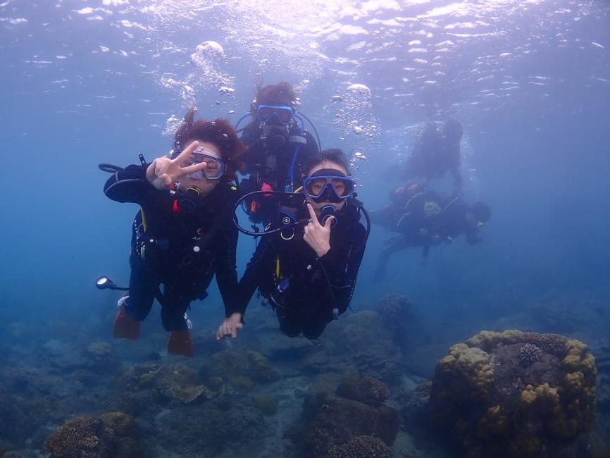 Daily diving in Penghu｜Dive experience + postcards sent to the undersea ...