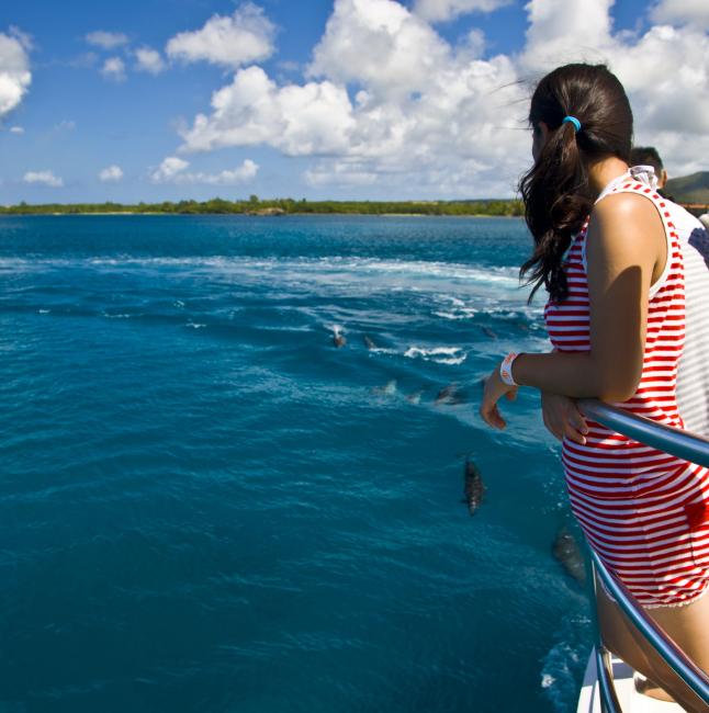Guam Fish Eye Marine Park Dolphin Watching Half-Day Tour - KKday