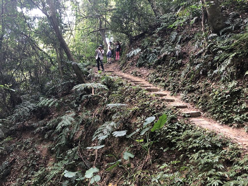 Popular Hiking Spots in Miaoli | One Day Tour of Zhangzhixi Road with ...
