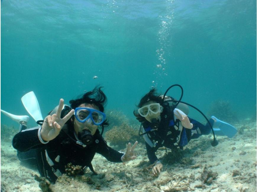 Dive into the underwater world for the first time with introductory ...