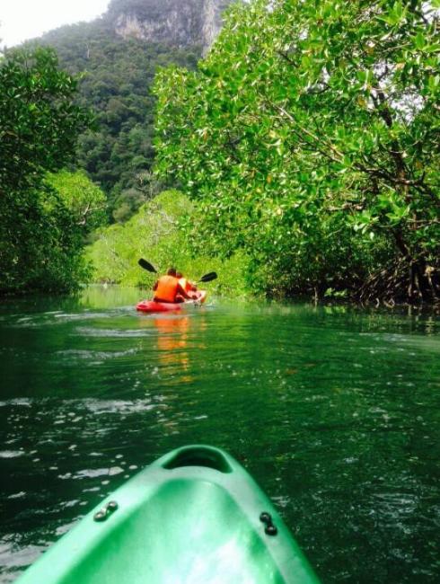 Discover Mangrove: Kayak Tour by Toro in Langkawi | Malaysia - KKday