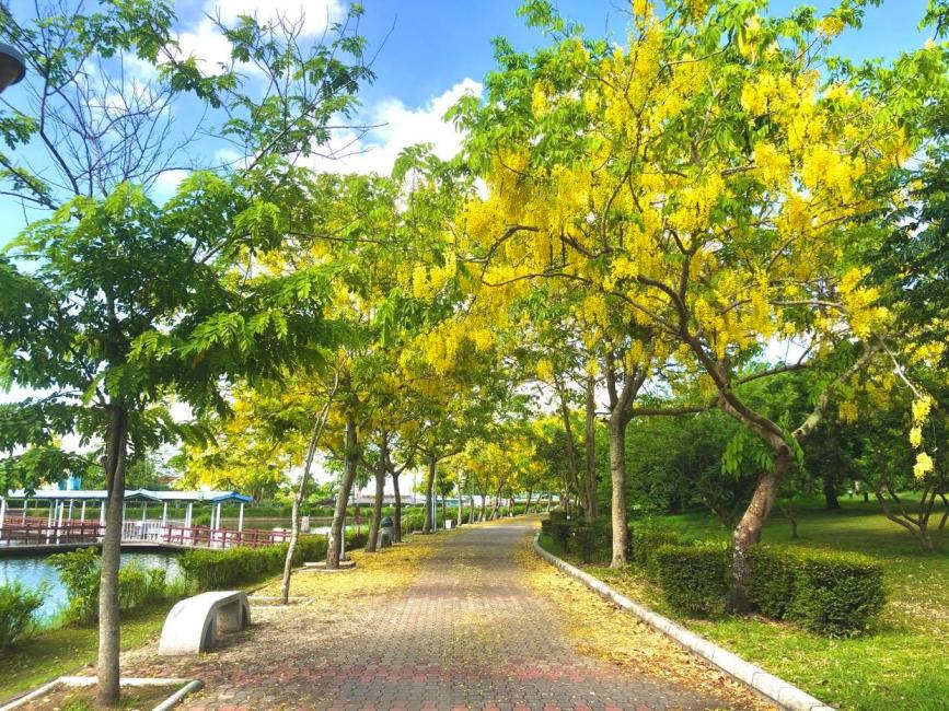 [21% off online discount] Tainan Guantian｜Tickets for Wushantou ...