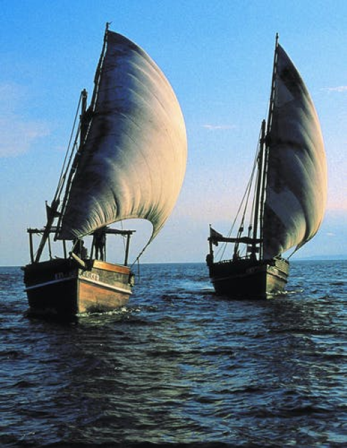 Wasini dhow sea safari - KKday
