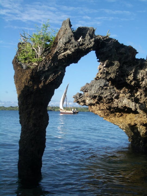 Wasini dhow sea safari - KKday