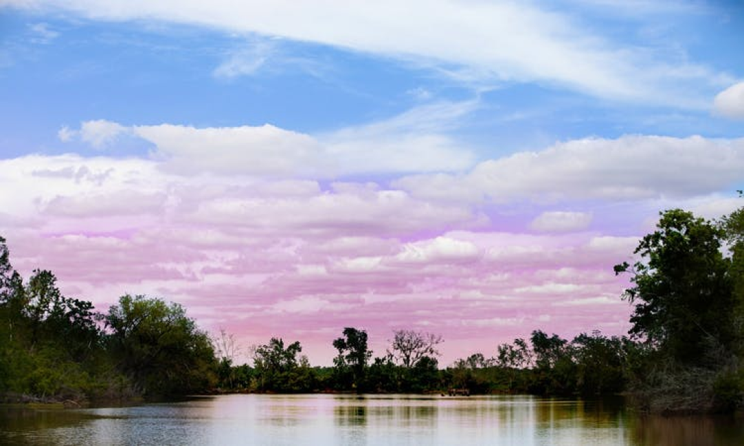 Guided swamp and bayou boat tour - KKday