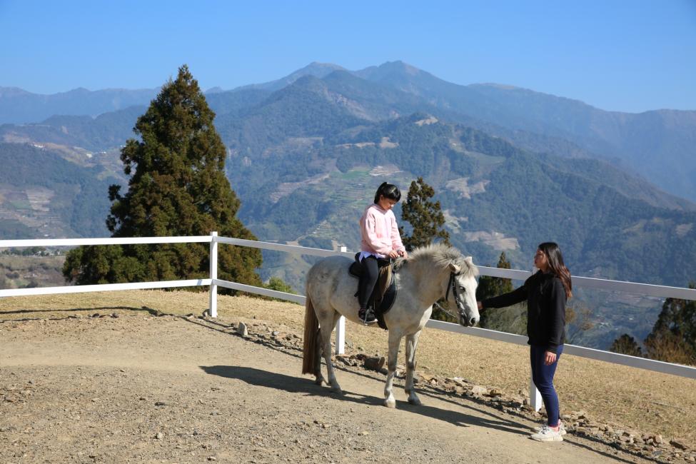 [Nantou Cingjing Farm] Qingqing Grassland Entrance Ticket & Jockey Half ...