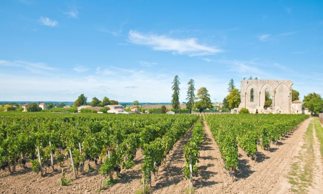 Full-day wine discovery tour in Saint-Emilion - KKday