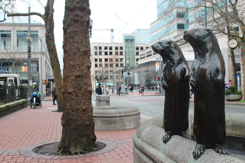 Explore Portland walking tour - KKday