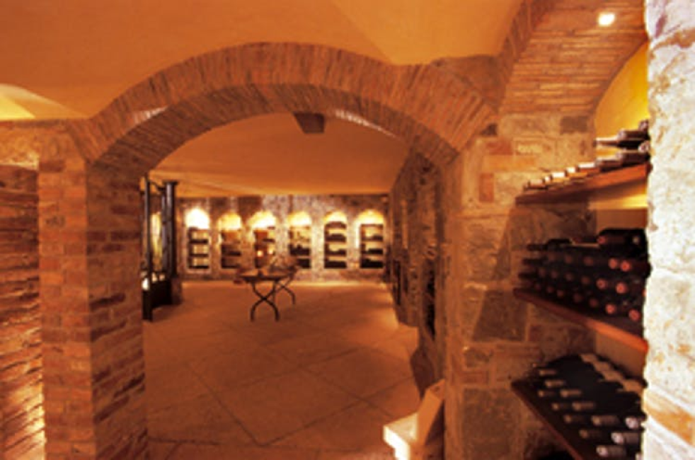 Tenuta Luisa winery classic tour with wine tasting - KKday