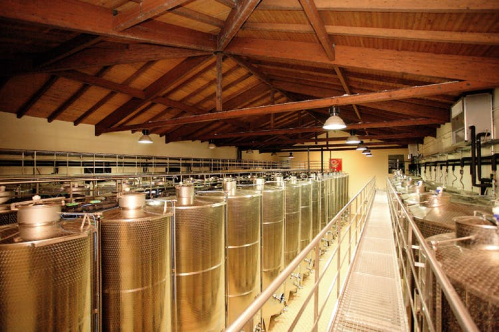Tenuta Luisa winery classic tour with wine tasting - KKday