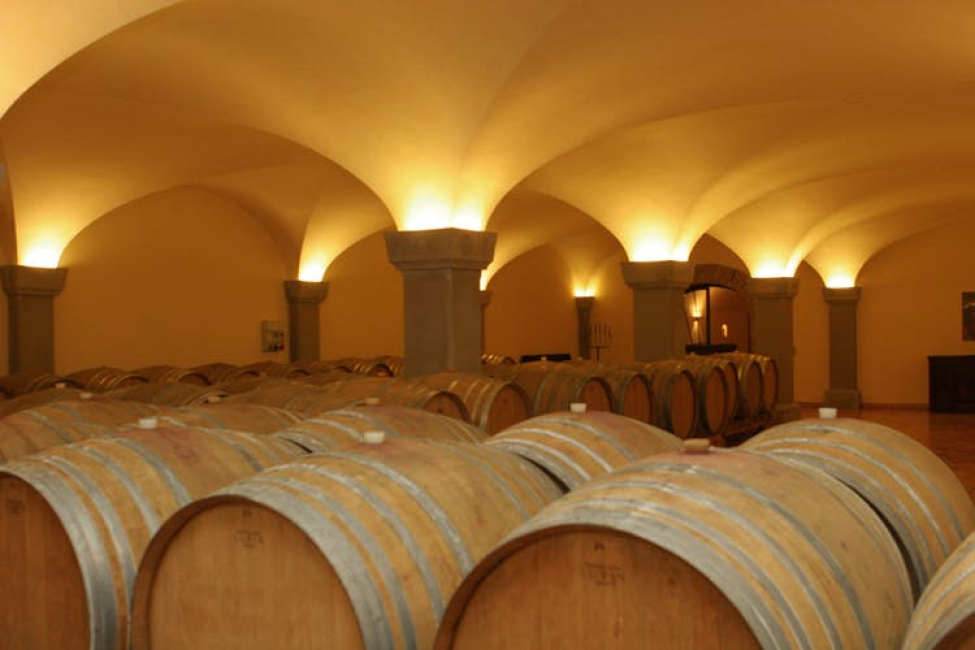 Tenuta Luisa winery classic tour with wine tasting - KKday