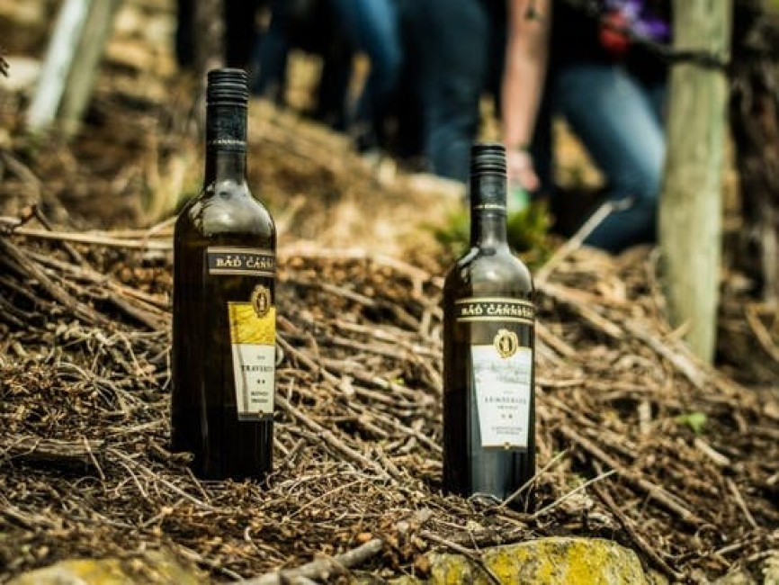Guided wine walk with wine tasting near Stuttgart - KKday