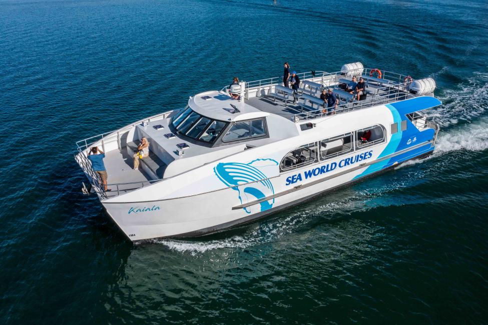 [Eco Tour] Whale Watching aboard Sea World Cruises | Gold Coast - KKday