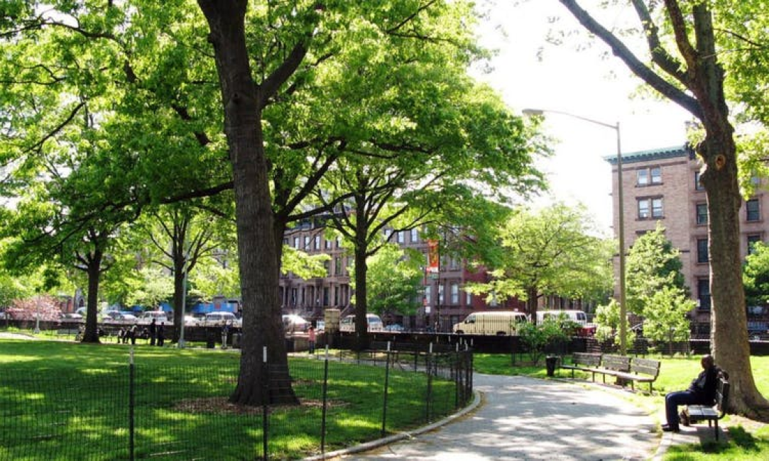 Mount Morris Park historic walking tour with lunch - KKday