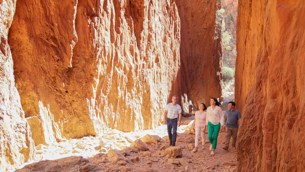 Best of Alice Springs Day Tour | Northern Territory - KKday