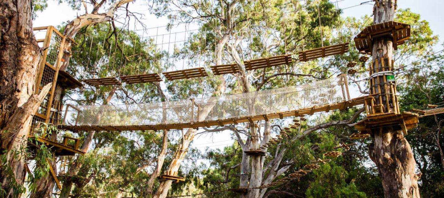 TreeClimb Adelaide Session Pass | South Australia - KKday