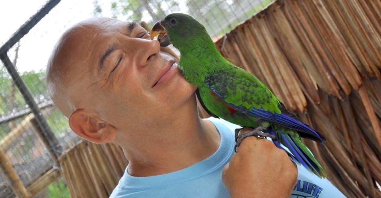 Boracay 2-Hour Private Land Tour: Puka Beach, Lugutan Mangrove Eco Park ...