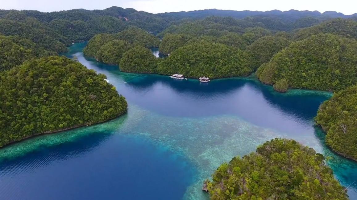 Siargao Adventure Private Tour: Sohoton, Jellyfish Sanctuary & Club ...