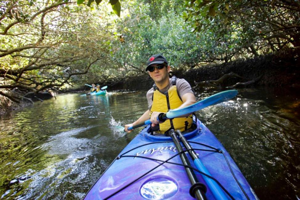 Self Guided Kayak Tour for 1 Person in Adelaide | South Australia - KKday