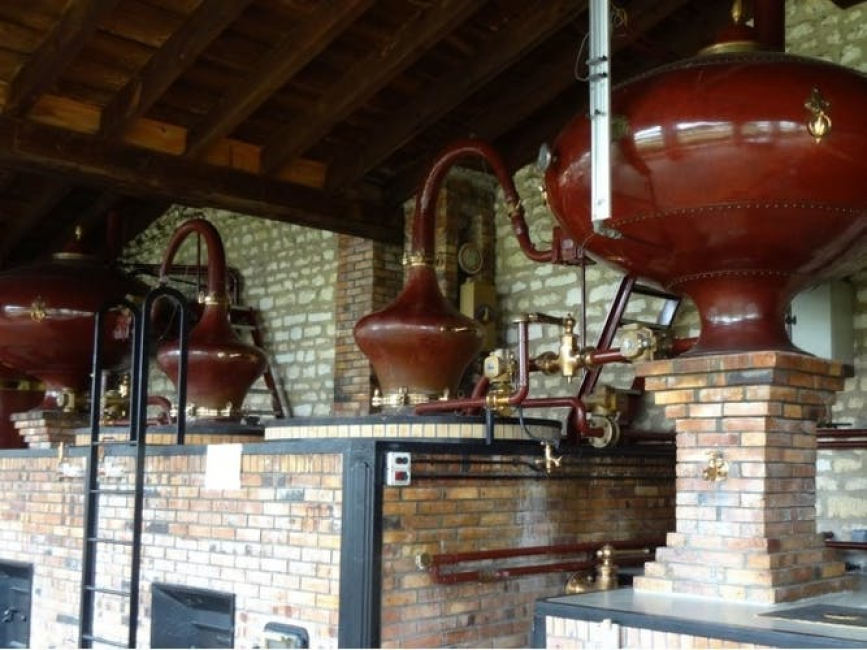 Cognac distillery and Bordeaux winery private tour from Cognac - KKday