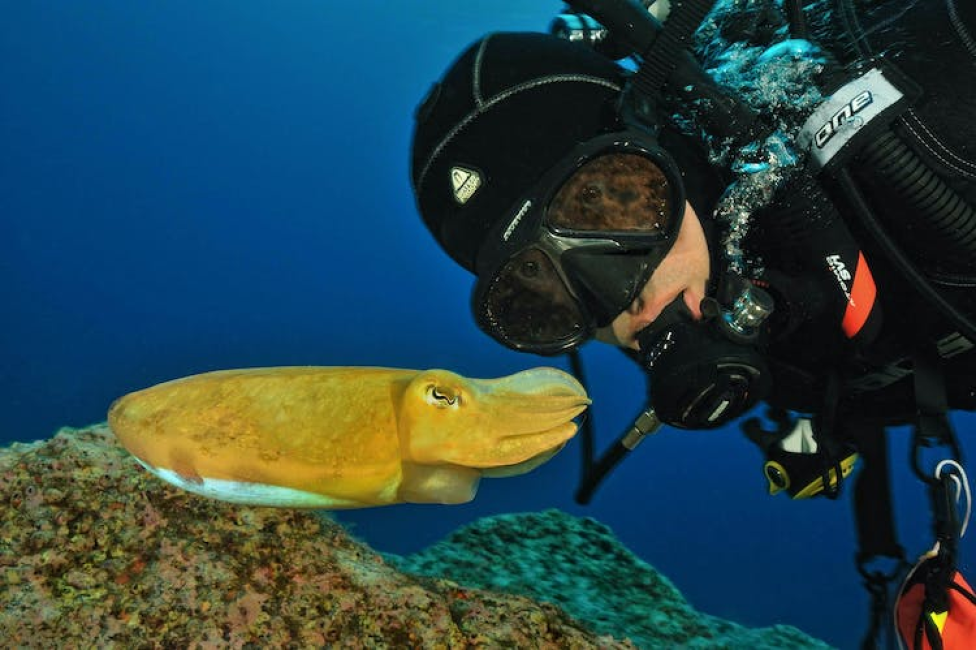 Beginner Diver Course Ticket - KKday