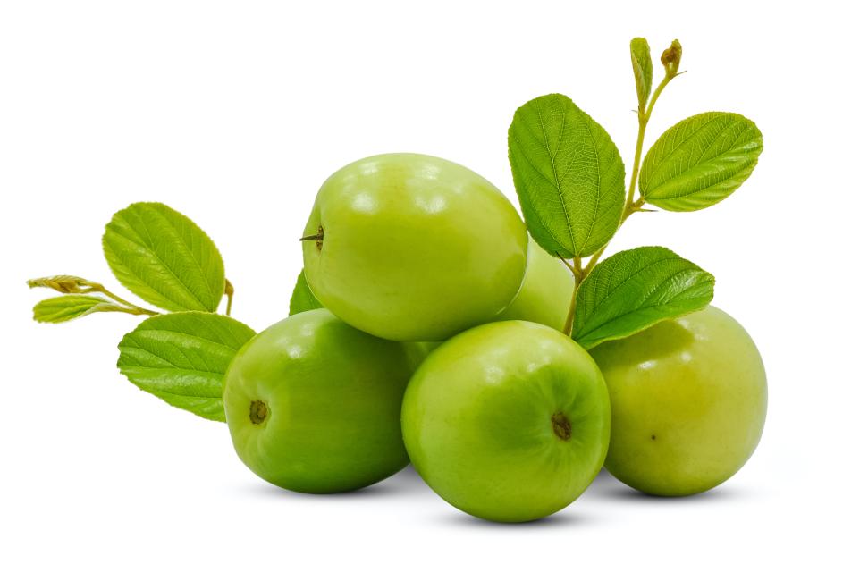 Taiwanese fruit｜Taiwan jujube, honey jujube 2.5kg set・Scheduled to be ...