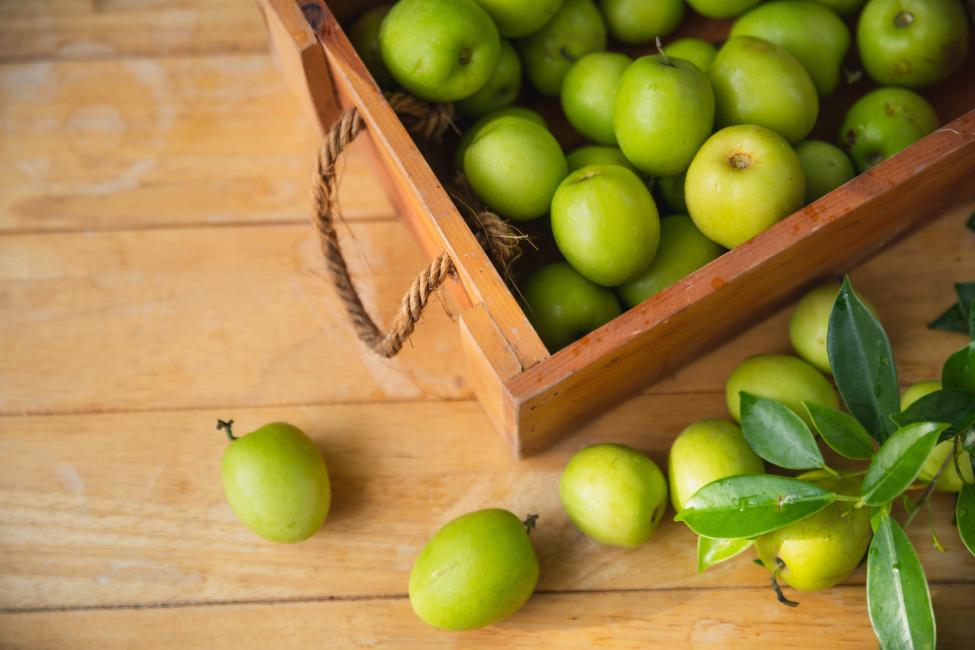 Taiwanese fruit｜Taiwan jujube, honey jujube 2.5kg set・Scheduled to be ...