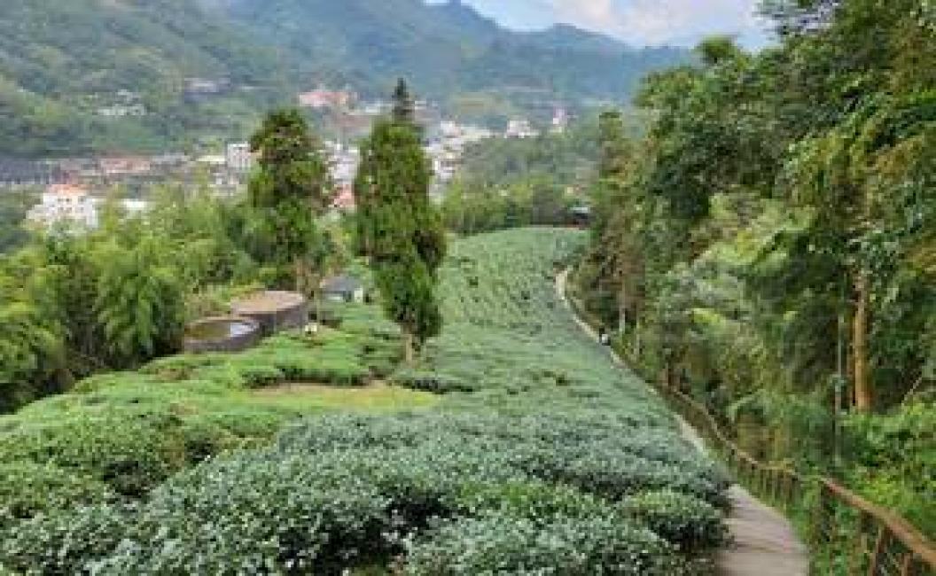 Up to 25% off on high-speed rail purchase｜Two-day tour in Chiayi ...