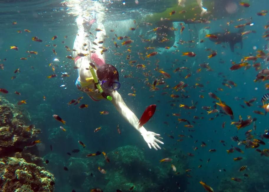 Yilan Suao｜Tofu Cape Underwater Garden｜Snorkeling + SUP Dragon Boat ...