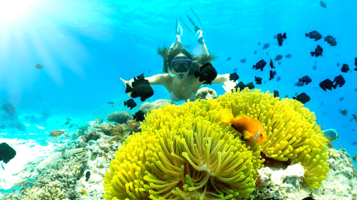 Day Tour | Snorkeling Watching Coral - Fishing - Standup Paddling In ...