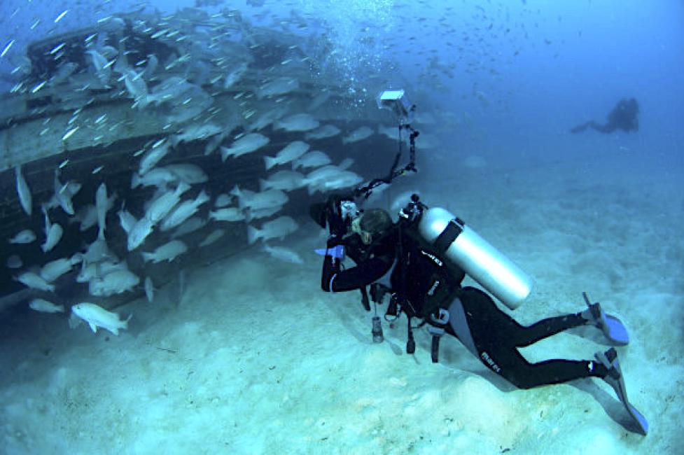 Scuba Diving at Sipadan | Sabah - KKday