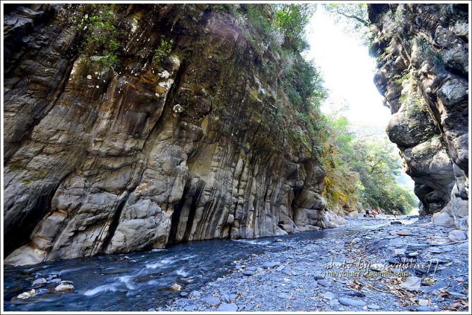 Nantou Wujie Tribe Deep Intellectual Second Day ~ Wujie Cloud Sea ...