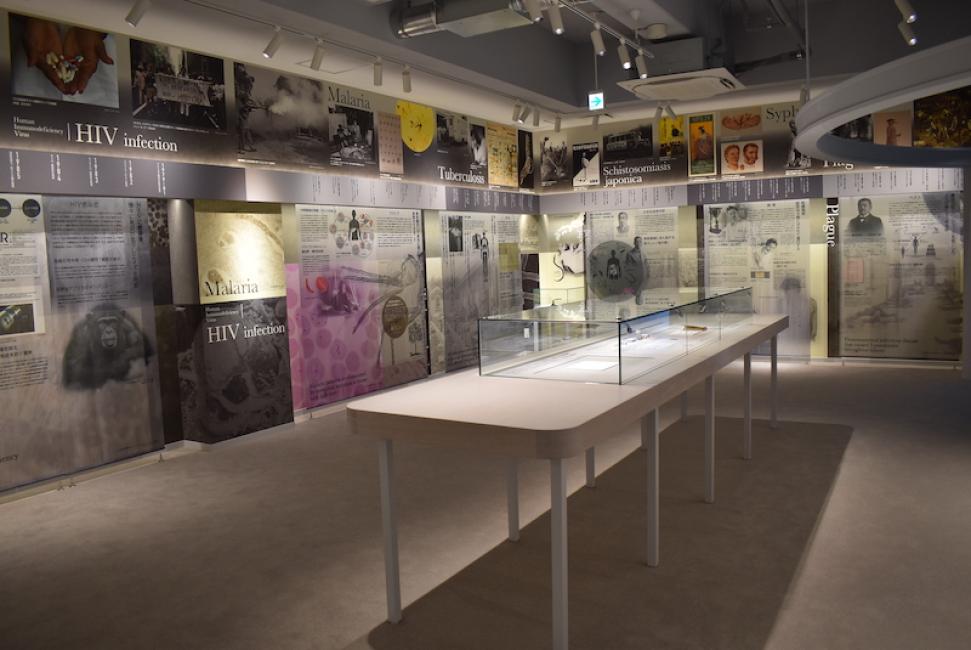 Hideyo Noguchi Memorial Hall & Infectious Diseases Museum Tickets ...