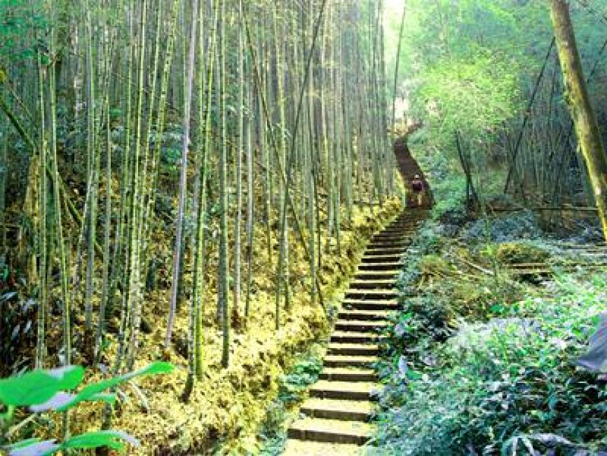 Chartered Tour｜Meishan One Day Tour in Chiayi｜Taiping Sky Ladder ...