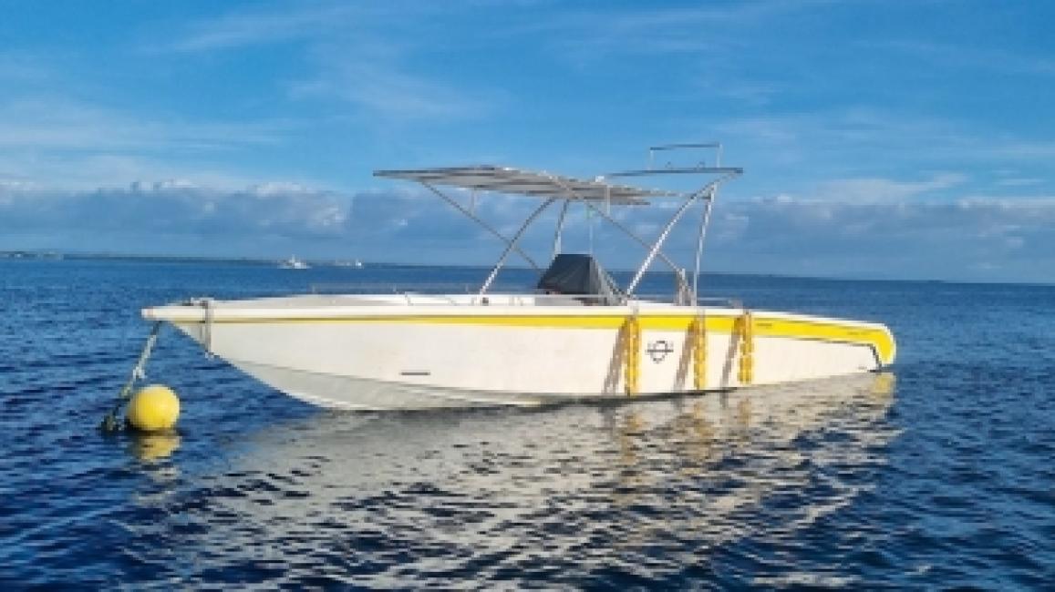 Cebu Speedboat Rental for Island Visit | Philippines - KKday