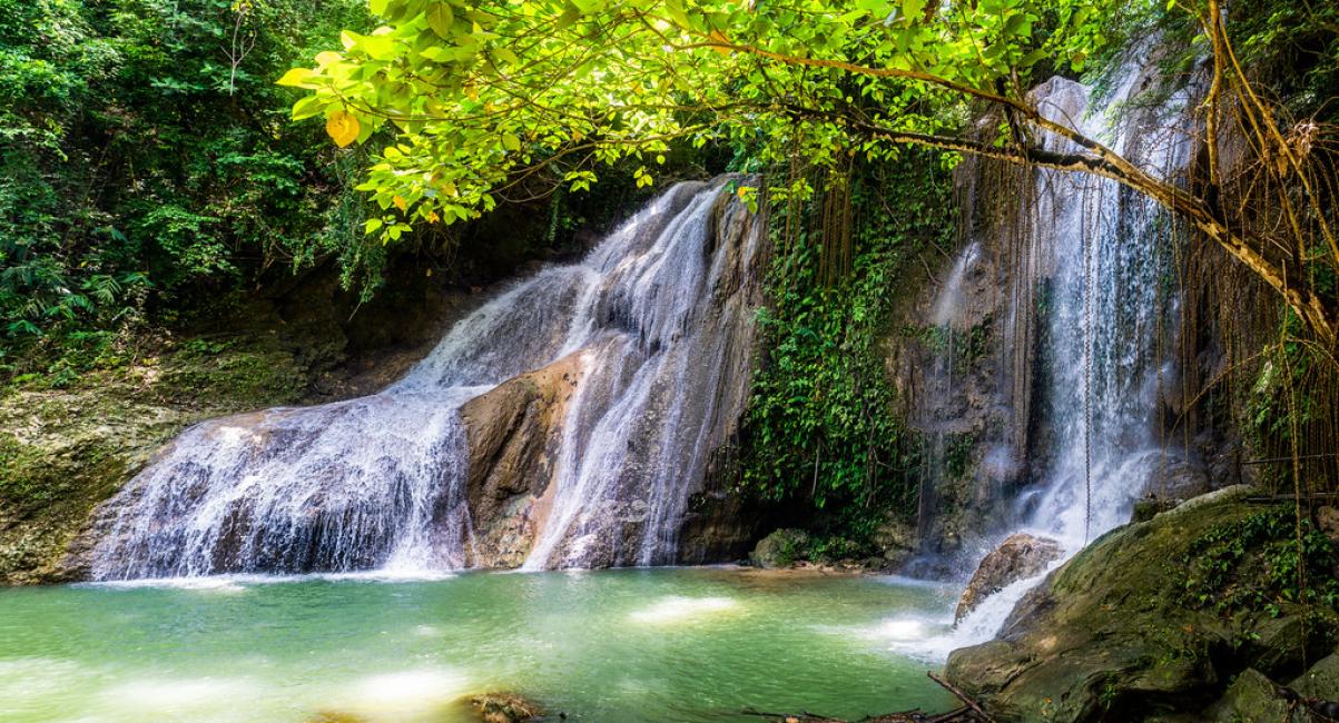 Bohol Whale Shark Experience & Pahangog Twin Falls Tour | Philippines ...